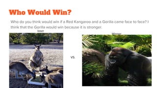 Who would win by weston | PPTX | Reptiles | Pets