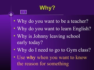 Wh questions lesson plan | PPT