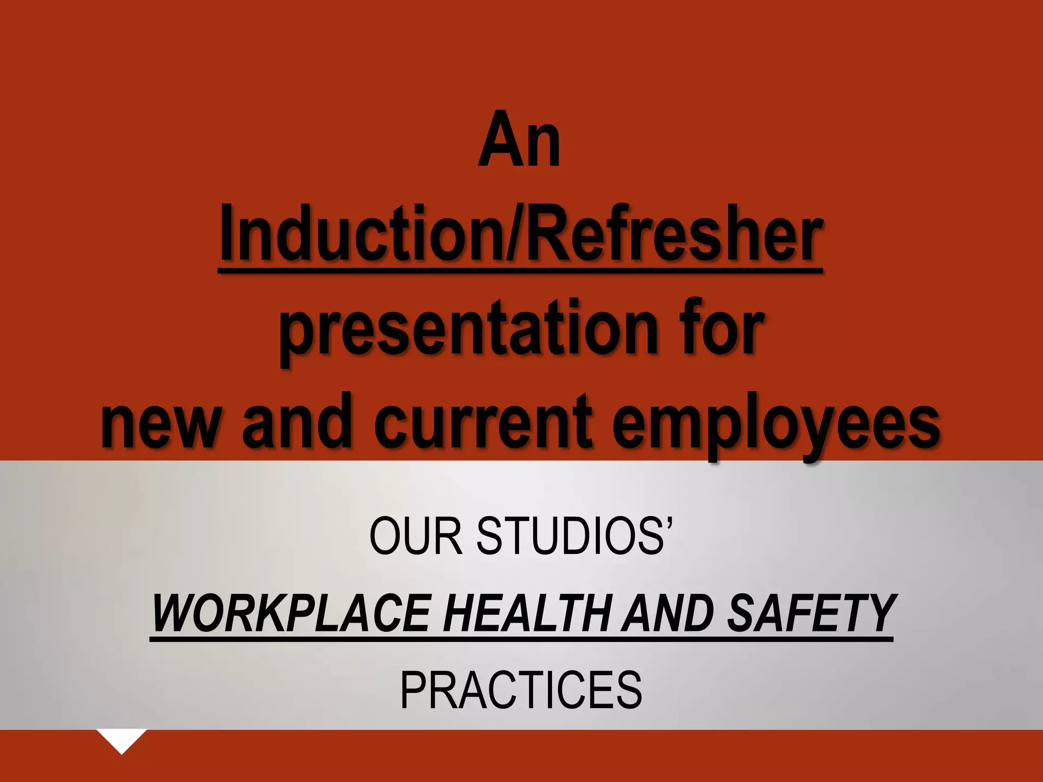 Workplace Health and Safety Practices Presentation | PPTX