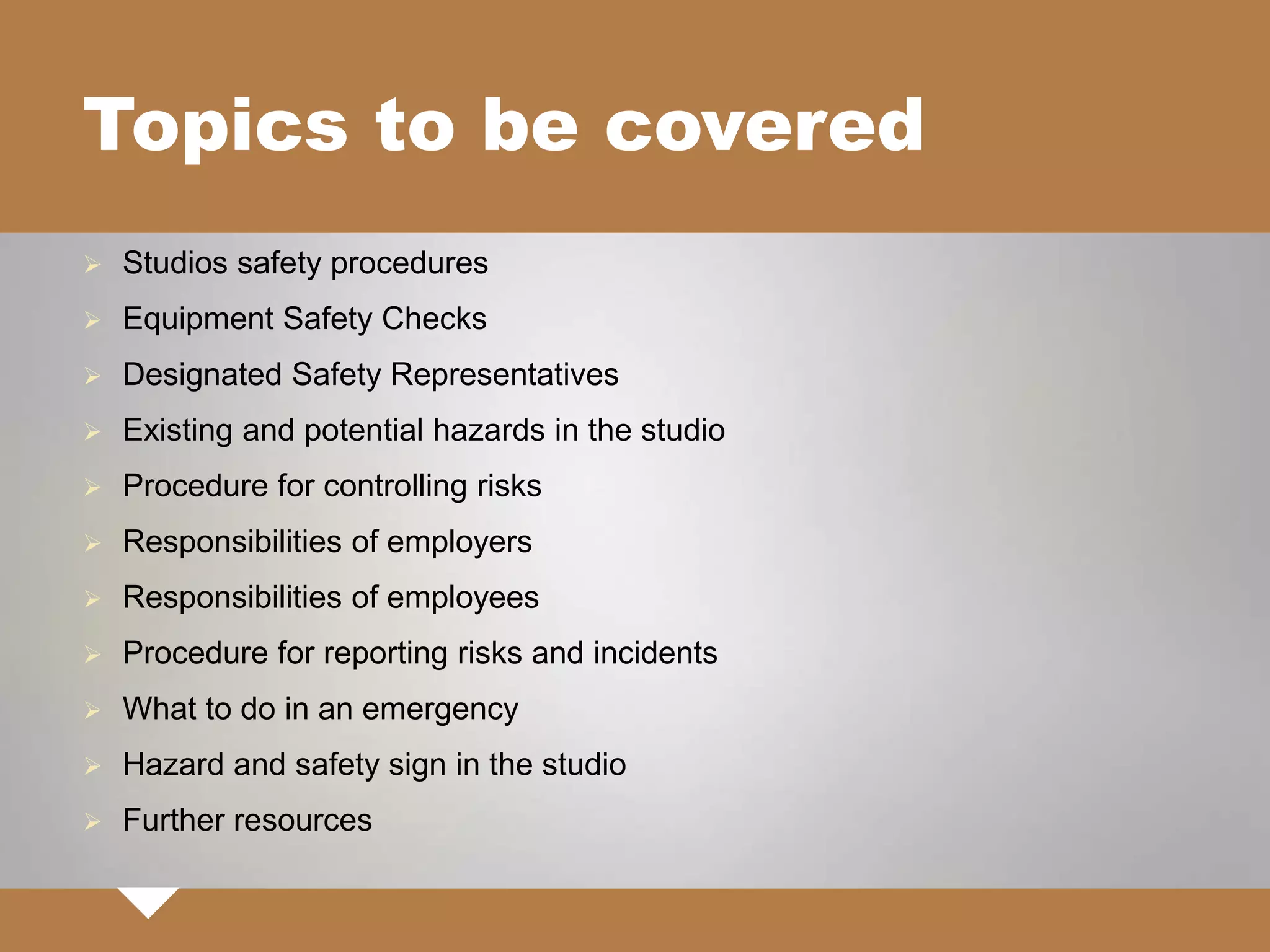Workplace Health and Safety Practices Presentation | PPTX