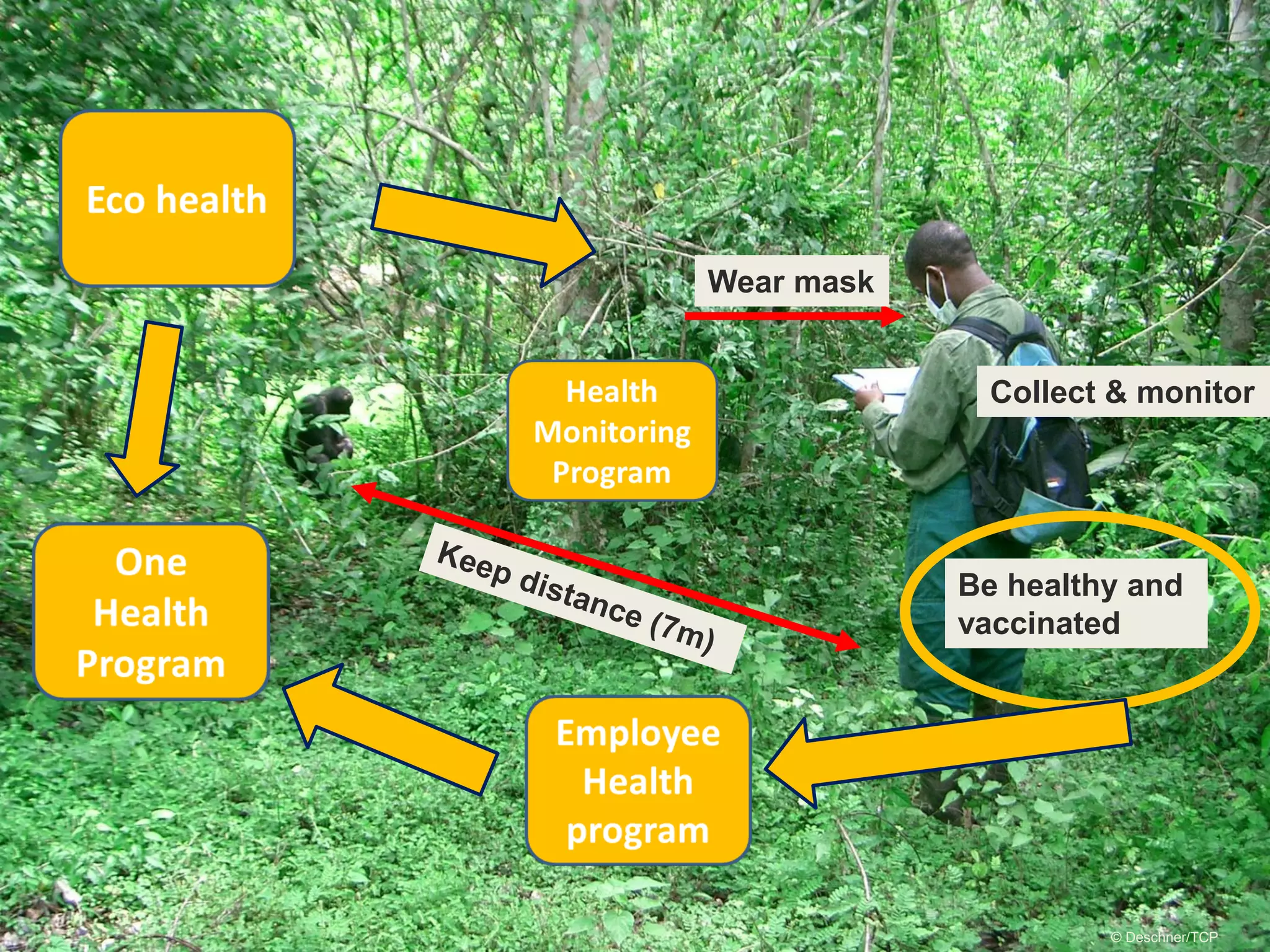 One Health and Conservation Strategies | PDF | Infectious Diseases ...