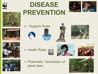 One Health and Conservation Strategies | PDF | Infectious Diseases ...