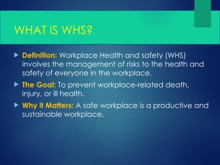 Comprehensive Workplace Health & Safety (WHS) Guidelines for IT ...