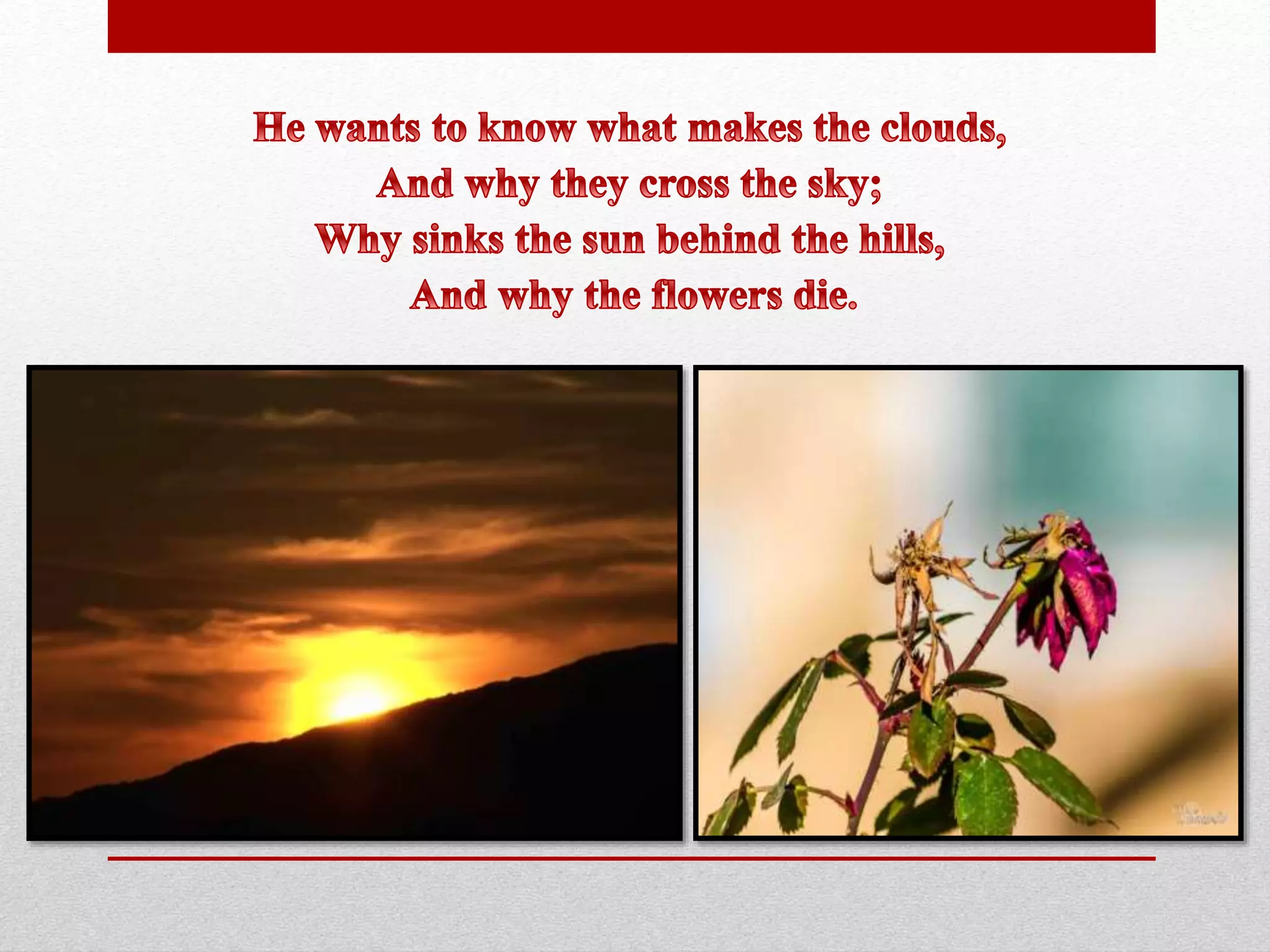 "why"? POEM OF STD 8TH SSC BOARD | PPTX
