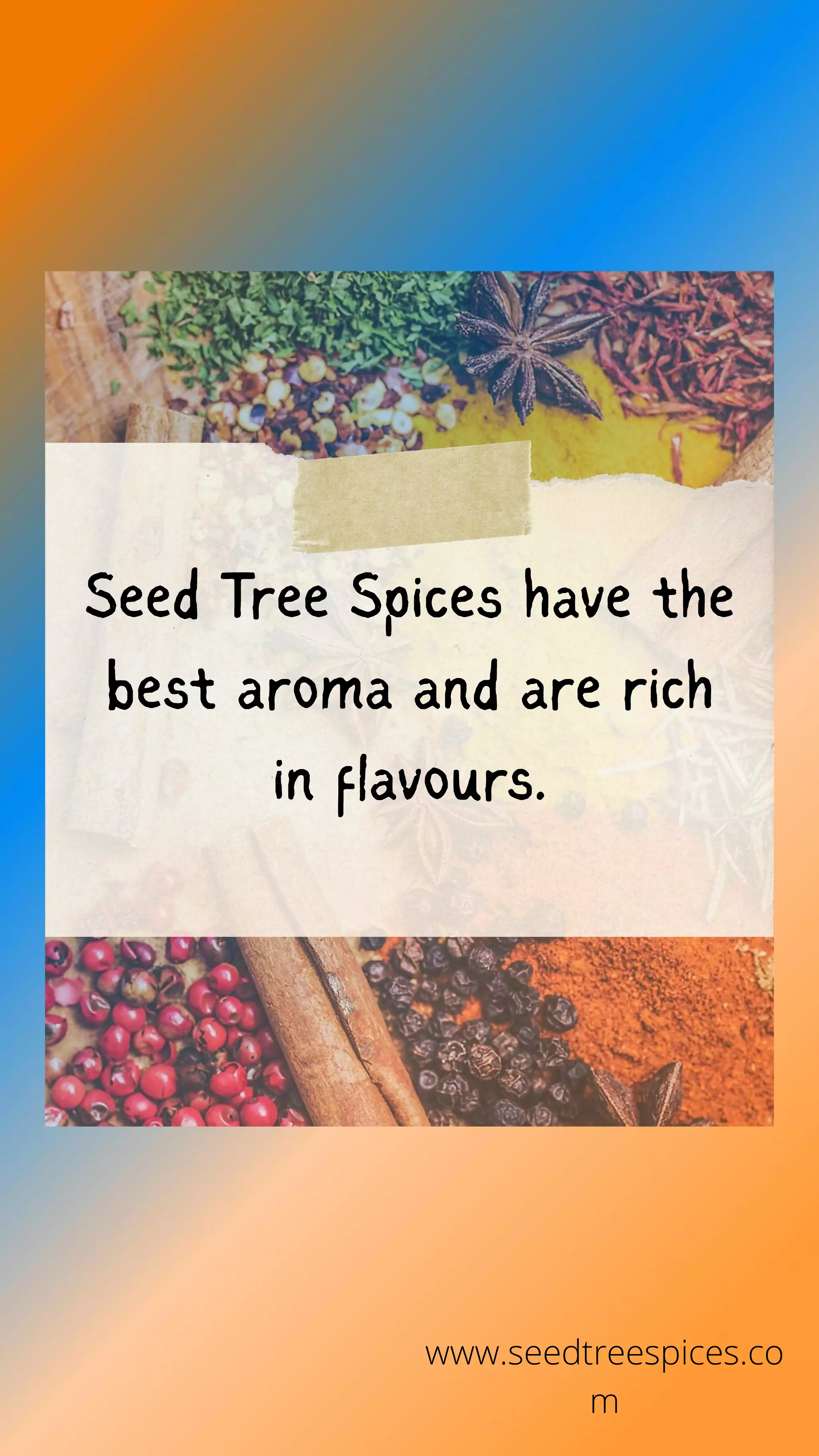 SEED TREE SPICES | PDF