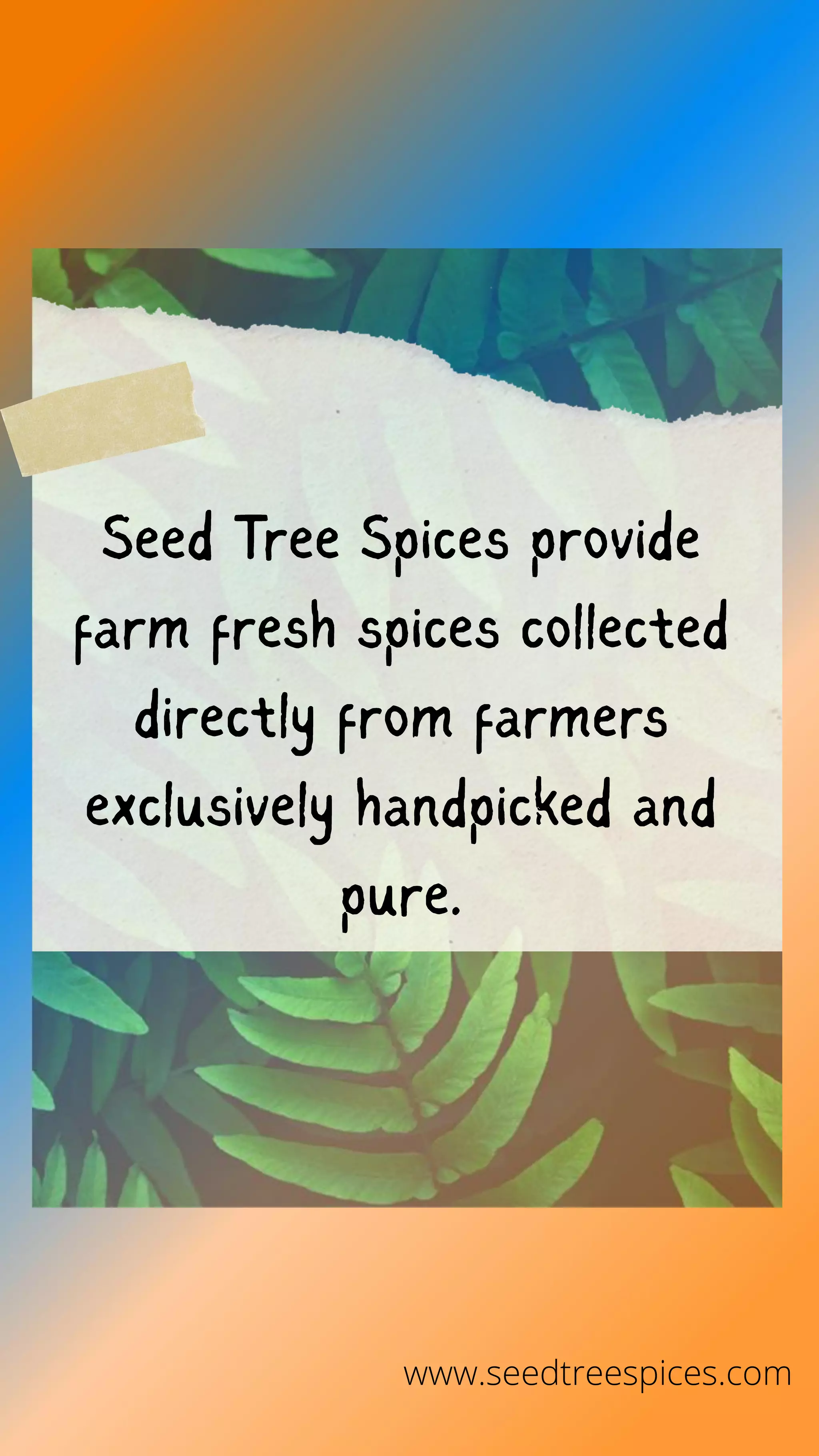 SEED TREE SPICES | PDF