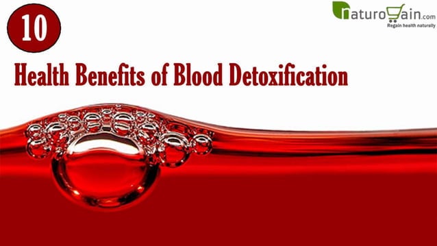 Why It Is Important to Purify Your Blood, 10 Health Benefits of Blood ...
