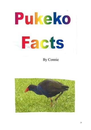 Why Pukeko Is Blue | PDF | Birdwatching | Hobbies & Interests