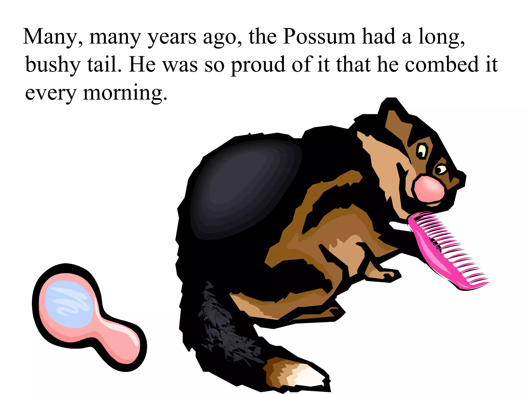 Why the Possum’s Tail is Bare | PPT