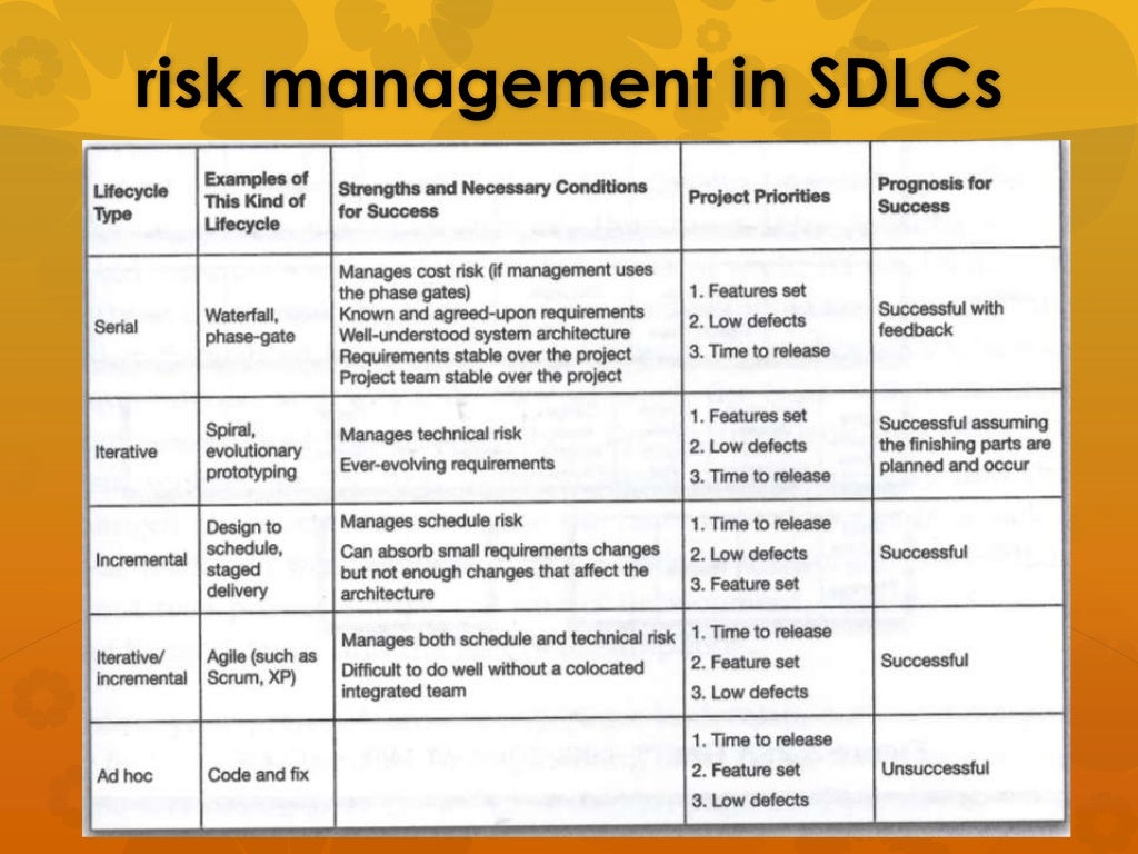 risk management in SDLCs