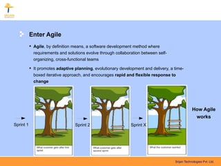 Why Agile | PDF