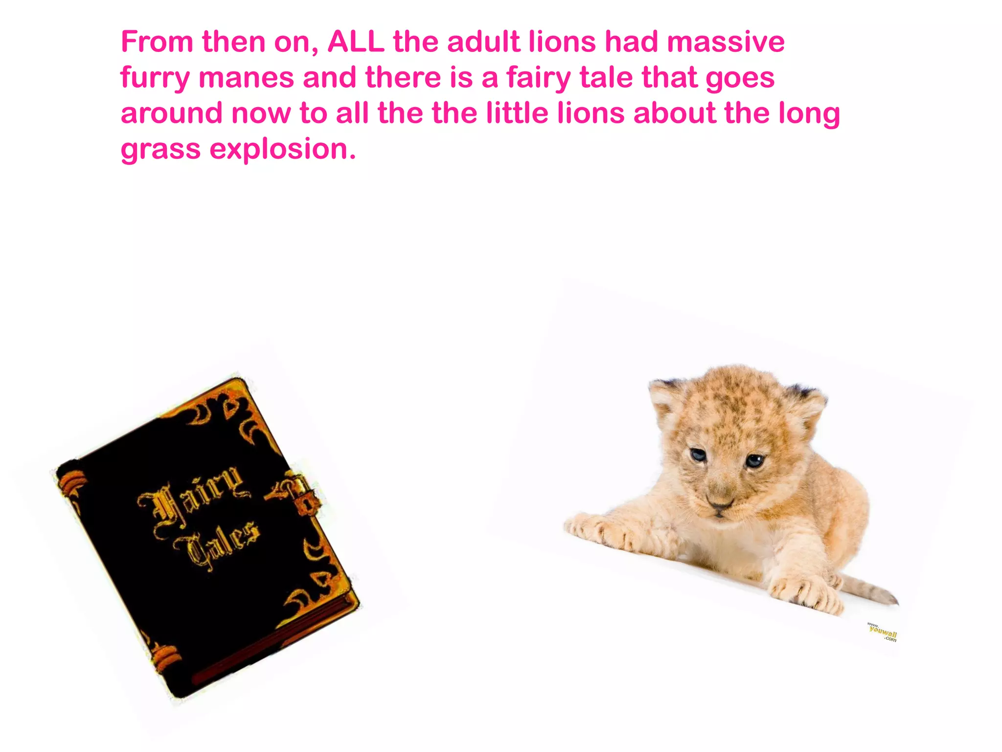 Why a lion's mane is furry | PDF