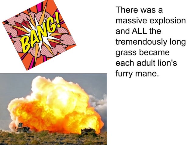 Why a lion's mane is furry | PDF