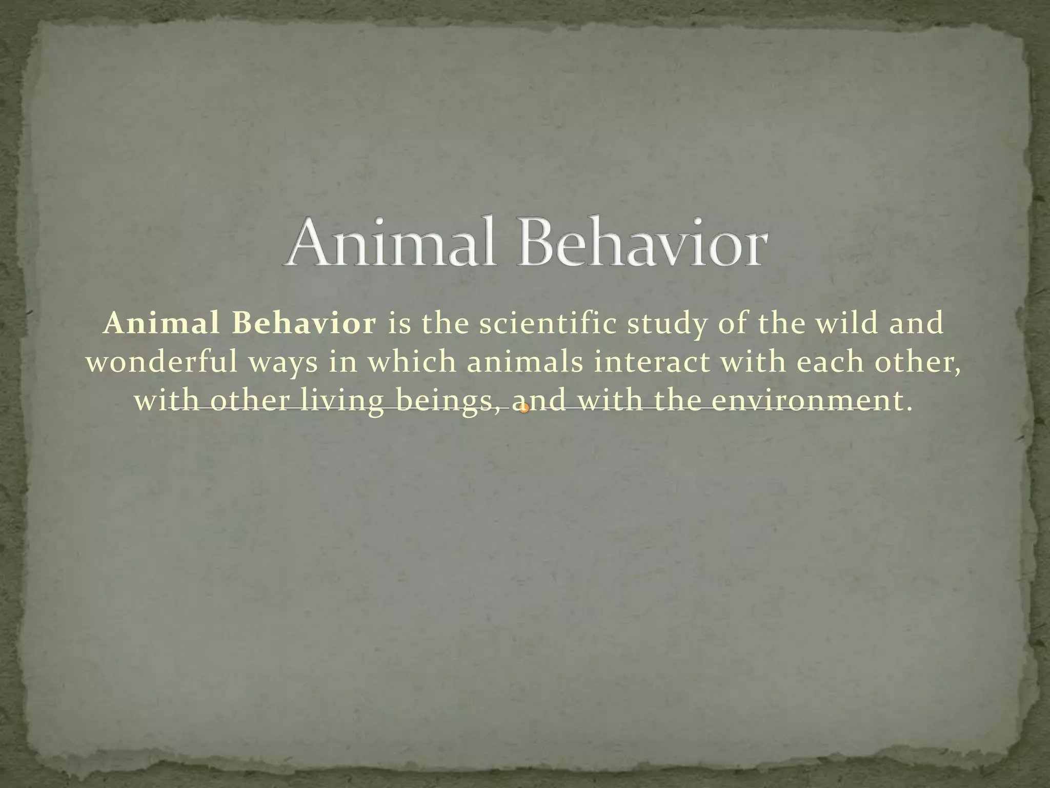 Why do we study Animal Behavior | PPTX