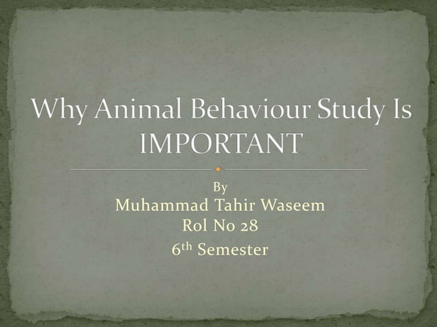 Why do we study Animal Behavior | PPTX