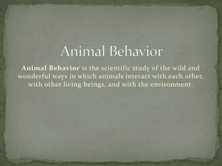 Why do we study Animal Behavior | PPTX