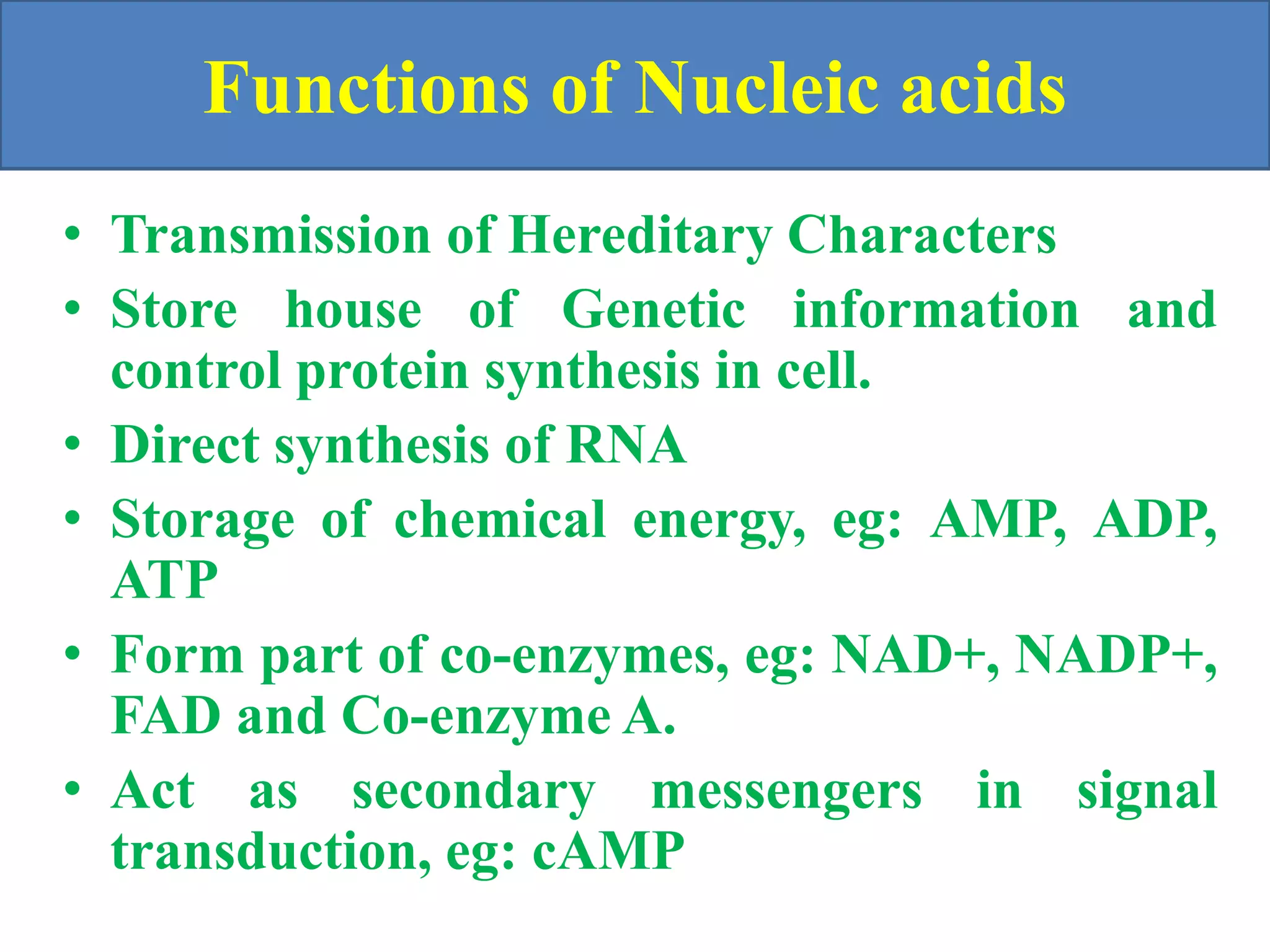 Why are dna and rna called acids AND FUNCTIONS OF NUCLEIC ACIDS | PPTX