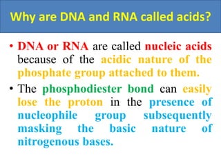 Nucleic Acid Dna And Rna