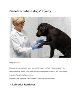 Why Are Dogs So Loyal causes beyond dog. | PDF