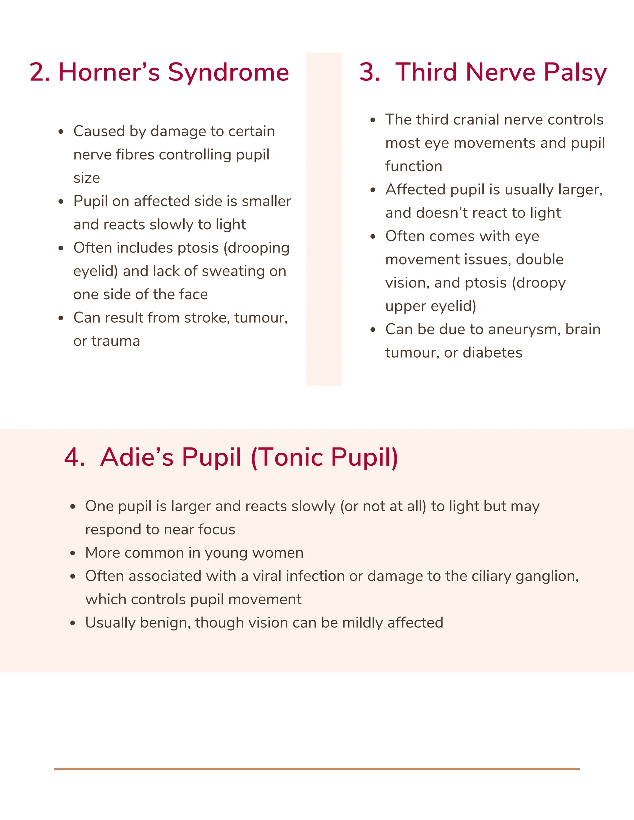 Why Are My Pupils Different Sizes Causes of Anisocoria You Should Know ...