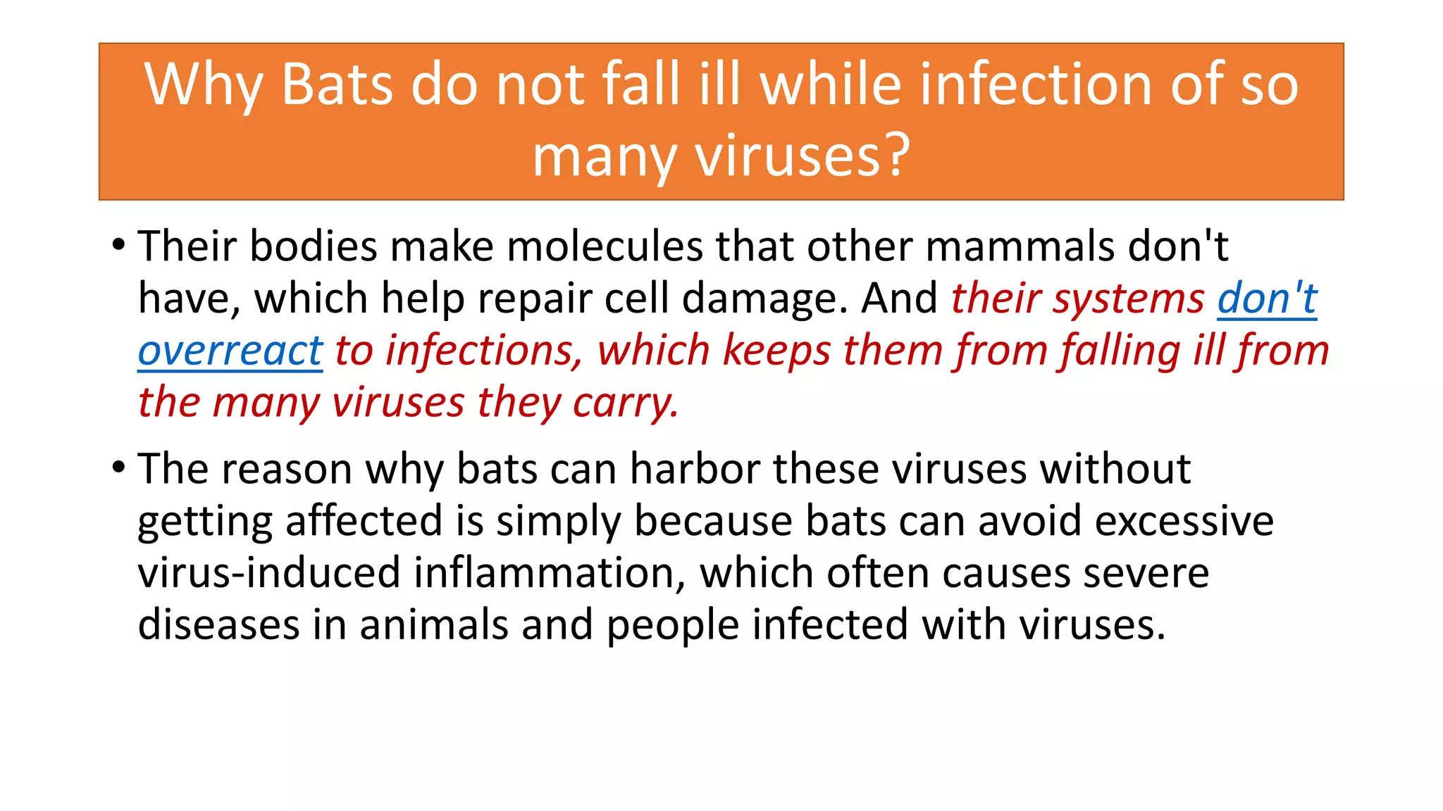 Why do bats transmit most of the viruses | PPT