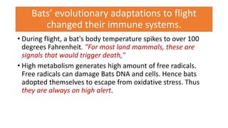 Why do bats transmit most of the viruses | PPT