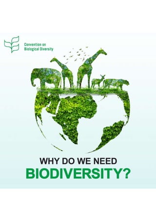Frequently Asked Questions - Why biodiversity matter? | PDF