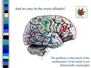 Why Brains Are Ugly (1).pptx