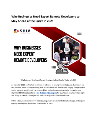 Guide to Hiring Expert Remote Developers | PDF