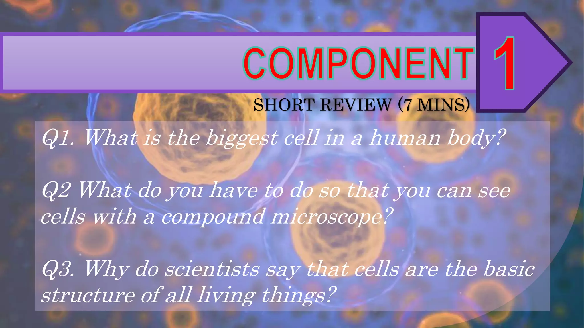 Why Cells.LESSON 5.pptx