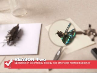 Why Choose Copesan | PPTX