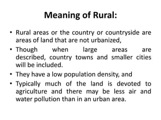 Why companies go | PPT