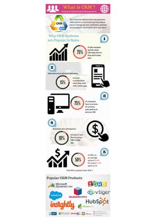 Why CRM Systems Are Popular In Sales?