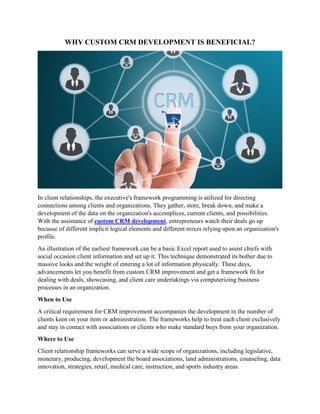 CUSTOM CRM DEVELOPMENT | PDF | Sales | Business