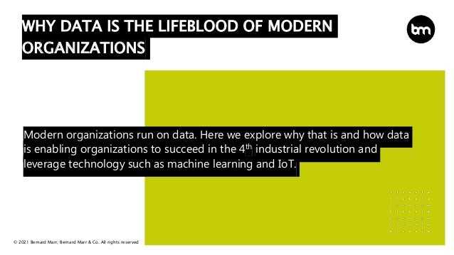 Why Data Is The Lifeblood of Modern Organizations | PPTX