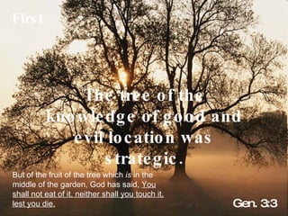 Why Did God Create The Tree Of The | PPT