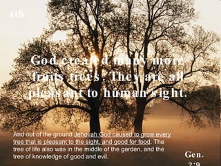 Why Did God Create The Tree Of The | PPT
