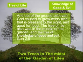 Why Did God Create The Tree Of The | PPT | Christianity | Religion ...