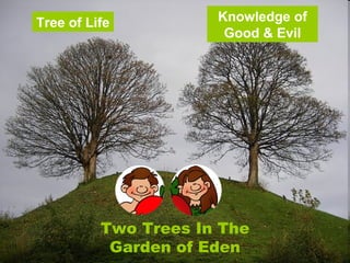 Why Did God Create The Tree Of The | PPT