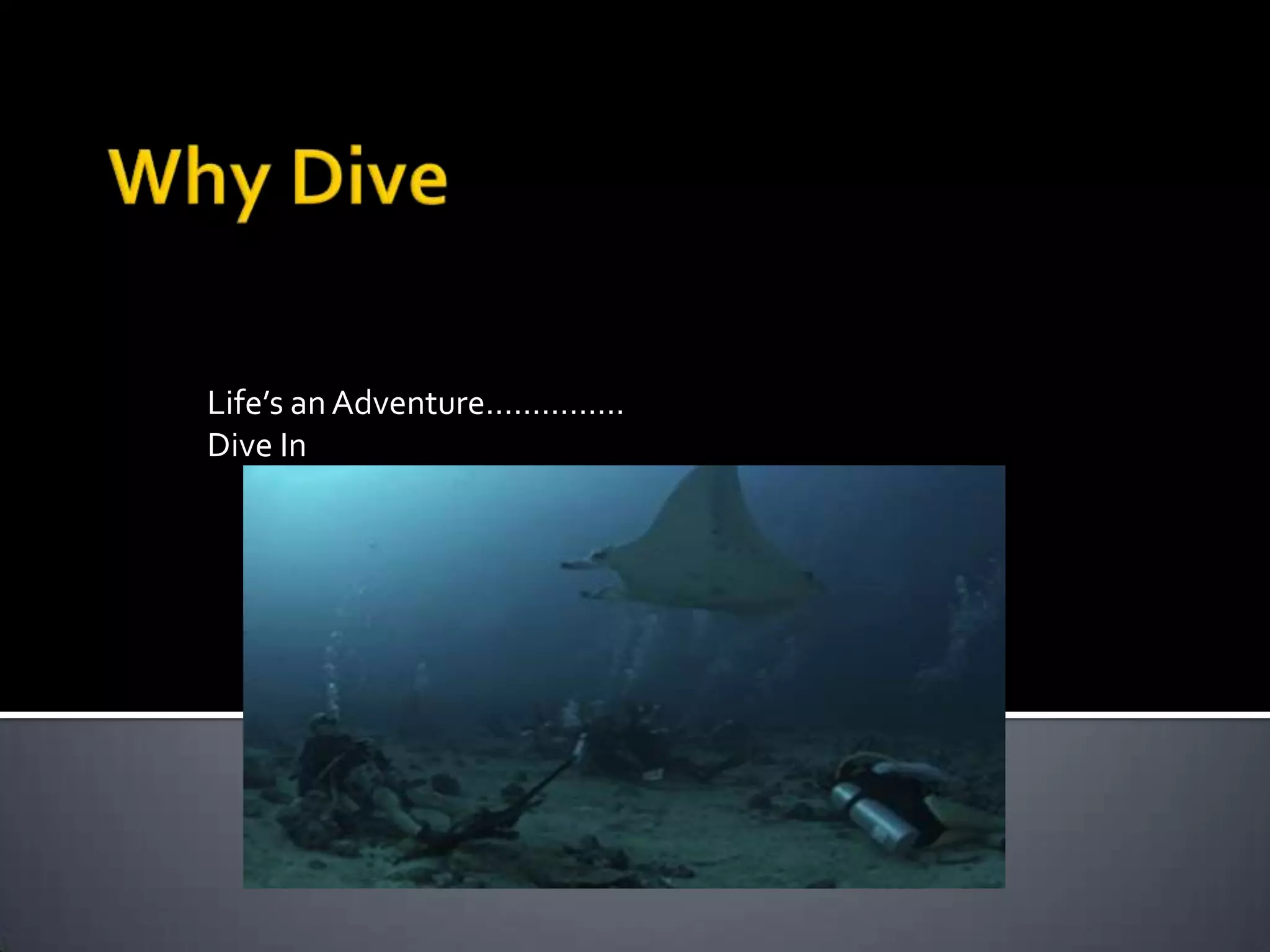 Why dive | PPTX