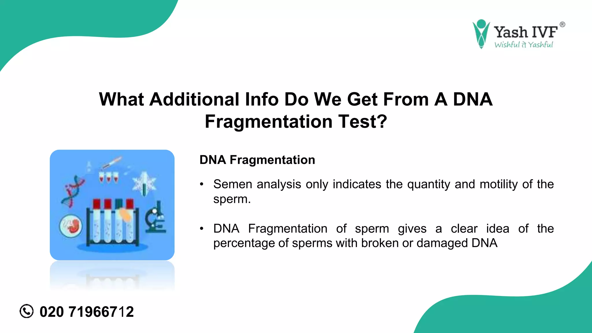Why DNA Fragmentation Test_SA not enough.pptx | Infertility ...