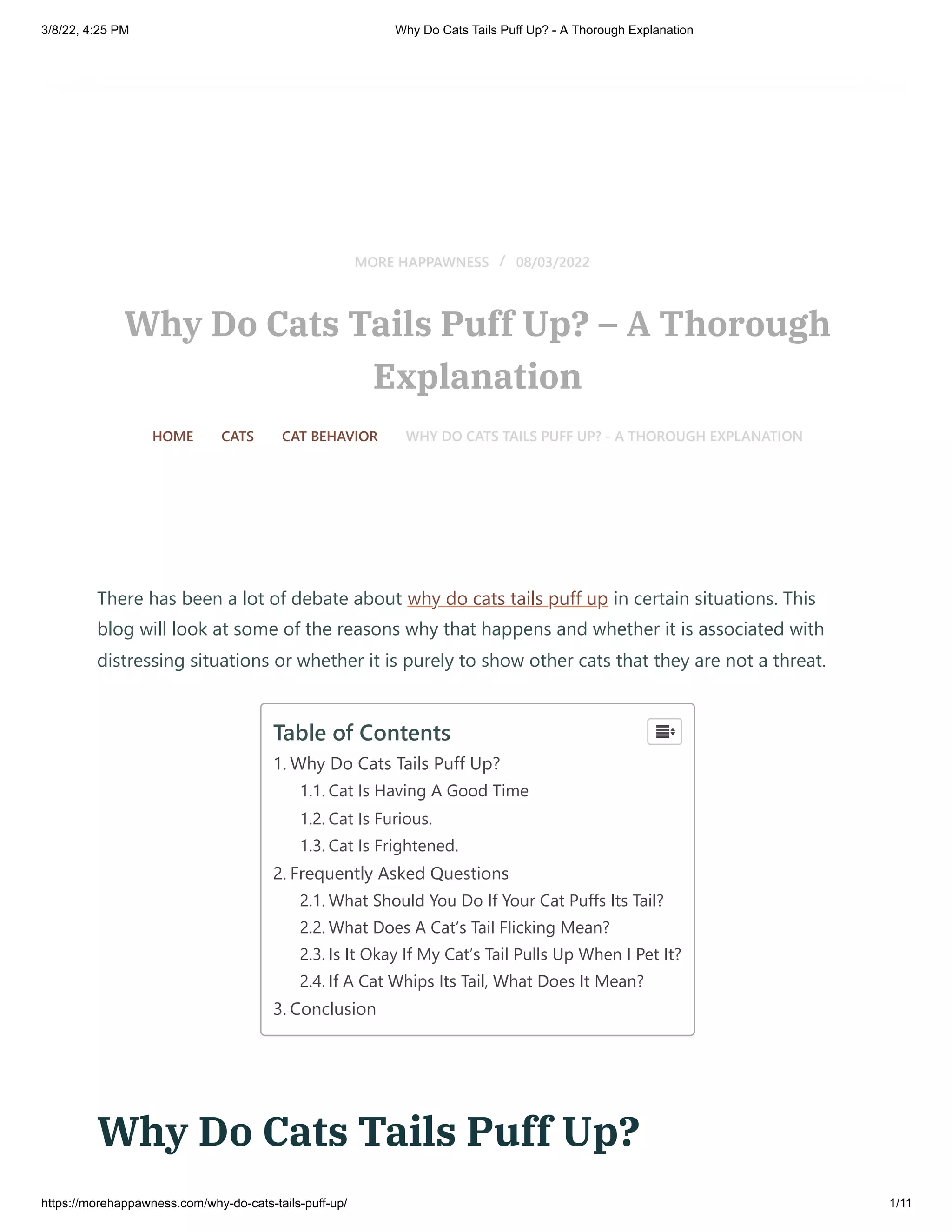 Why do cats tails puff up a thorough explanation | PDF