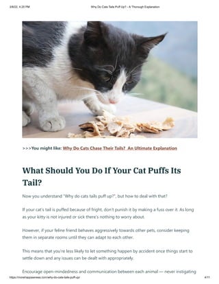 Why do cats tails puff up a thorough explanation | PDF