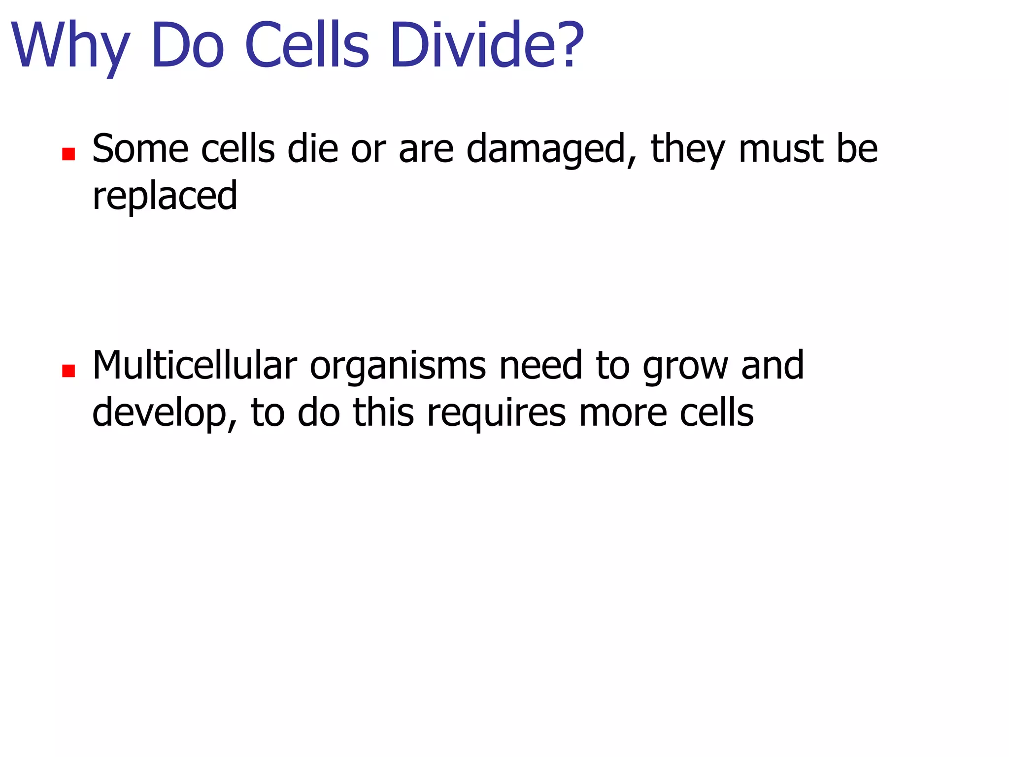 Why do Cells Divide? | PPTX