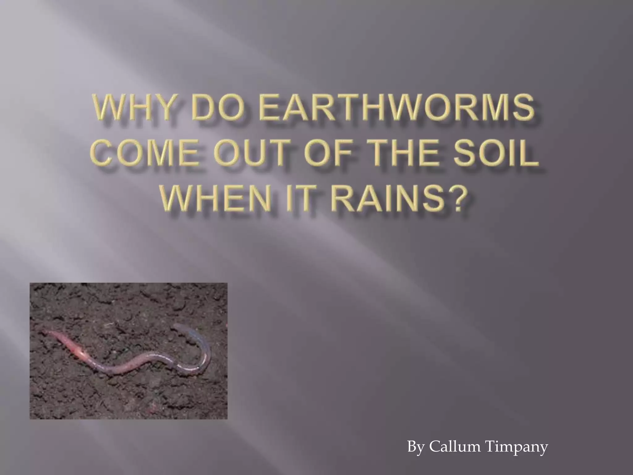 Why do earthworms come out of the soil | PPT