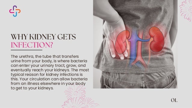 Kidney infection Treatment in Coimbatore | PDF