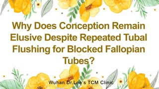 Why Does Conception Remain Elusive Despite Repeated Tubal Flushing for ...