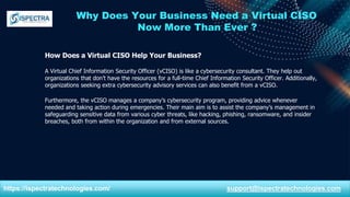 Why Does Your Business Need a Virtual CISO Now More Than Ever.pptx