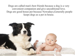 Why Dogs Make Good Pets