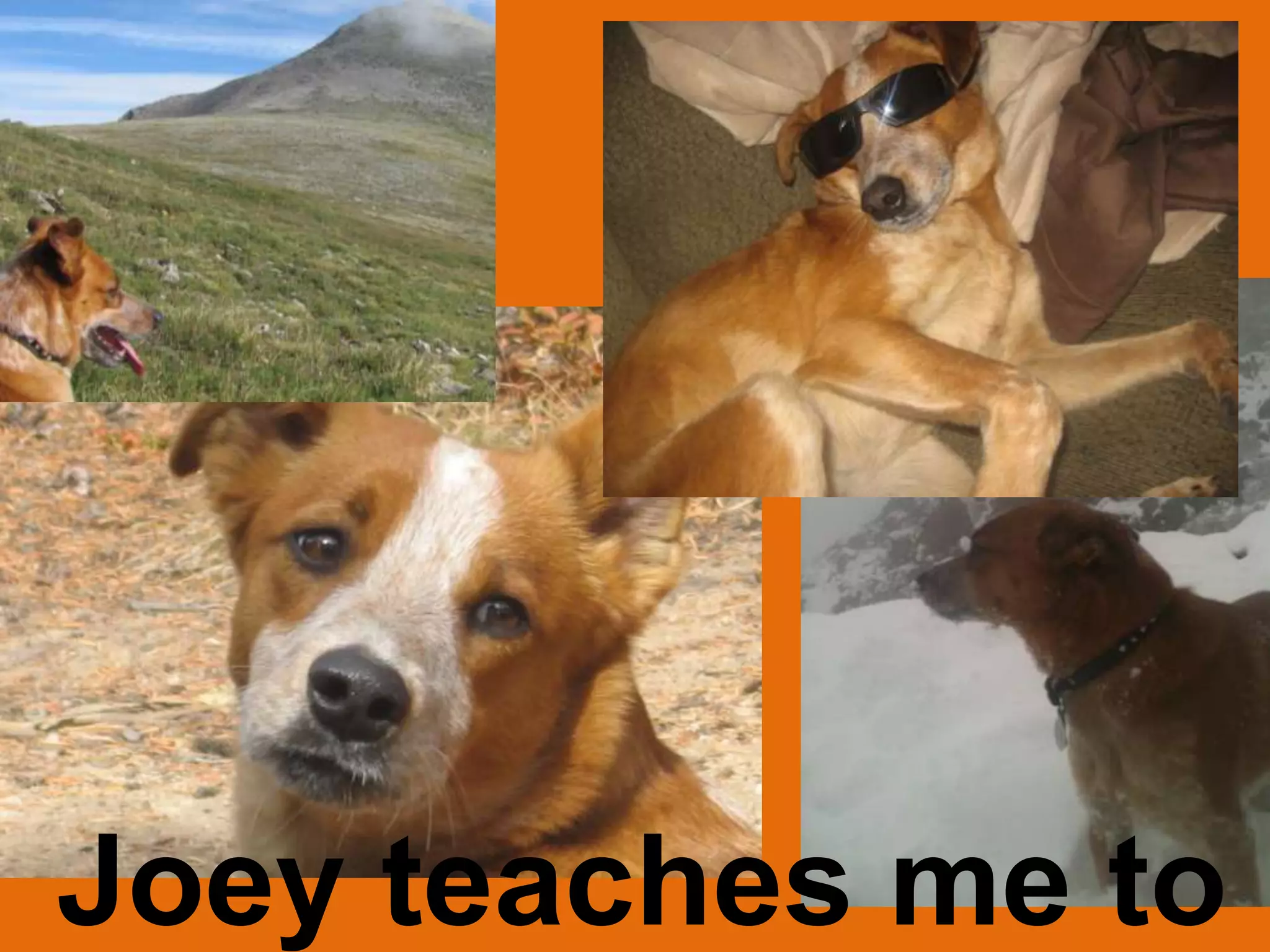 Why, How, and Who is Mike Wagner? | PPTX